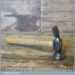 Vintage Leatherworker’s London Pattern Cobblers Hammer – Good Condition ...