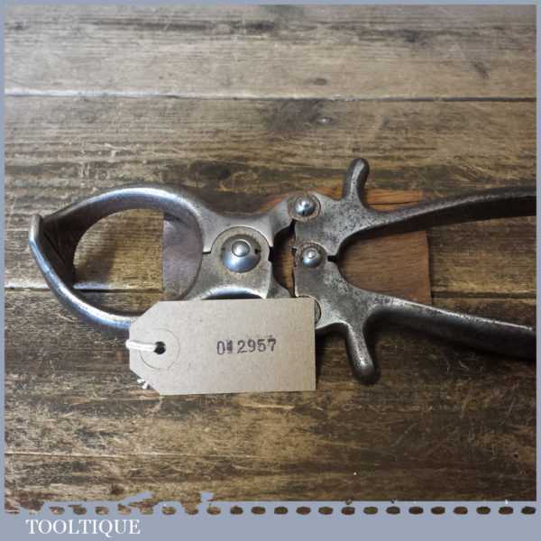 Vintage Burd Lamorra Burdizzo Italy 9″ Bloodless Emasculator Castration ...