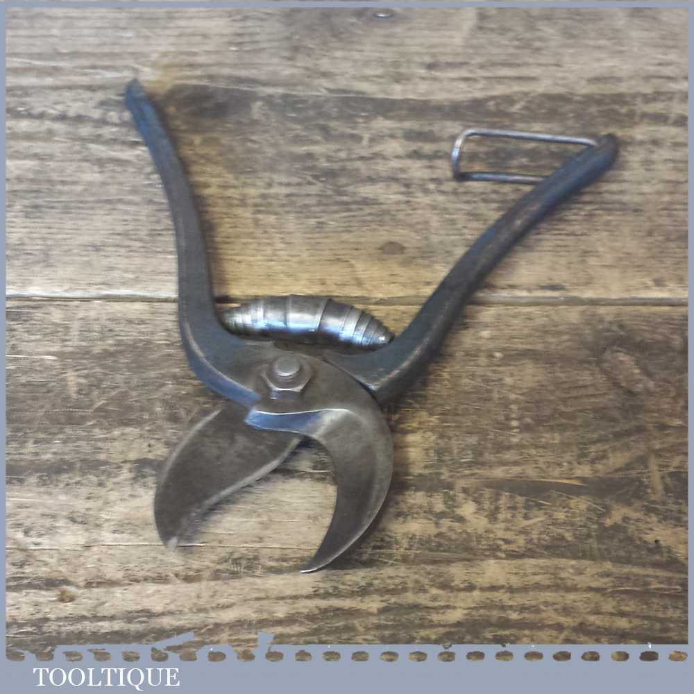 Vintage Pair Fedco Of Sheffield Parrot Beak Secateurs In Good Condition ...